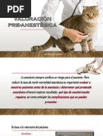 PROTOCOLO ASA Final - Paola Pérez | PDF | Anestesia | Cirugía