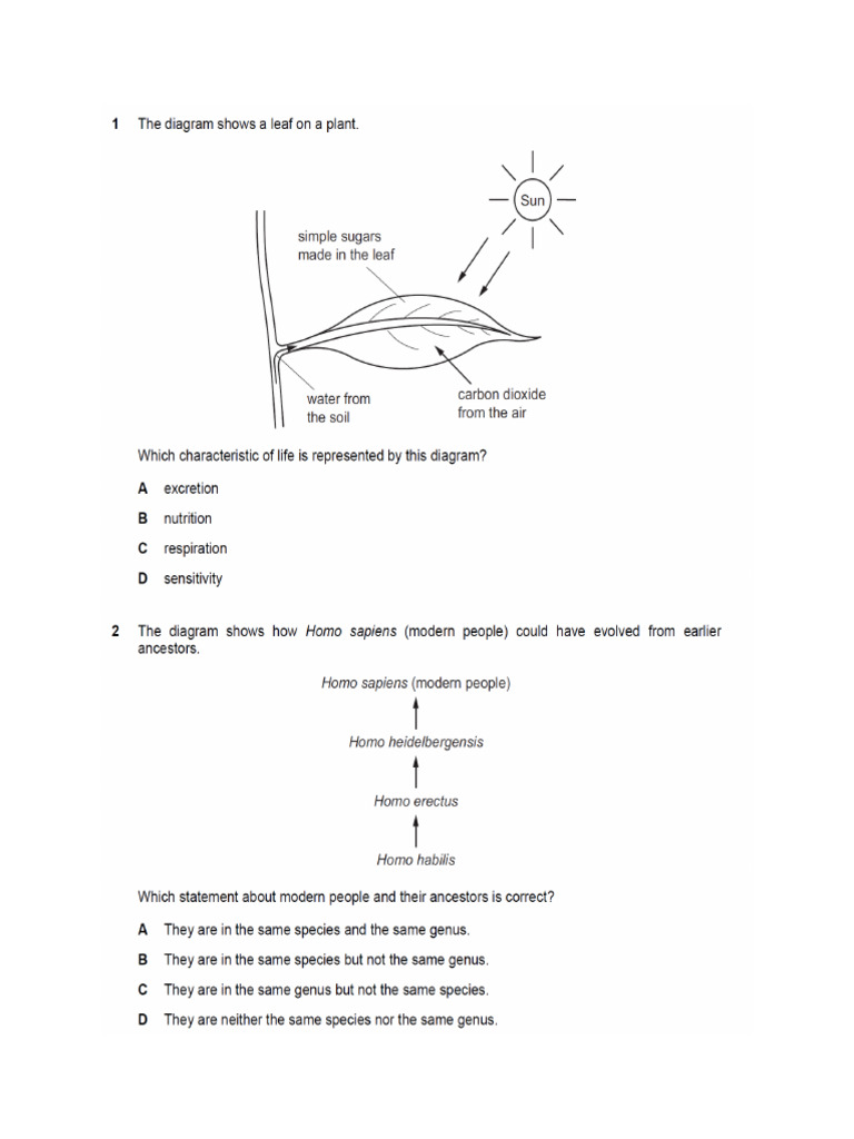 Year 10 Characteristics of Living Organisms | PDF