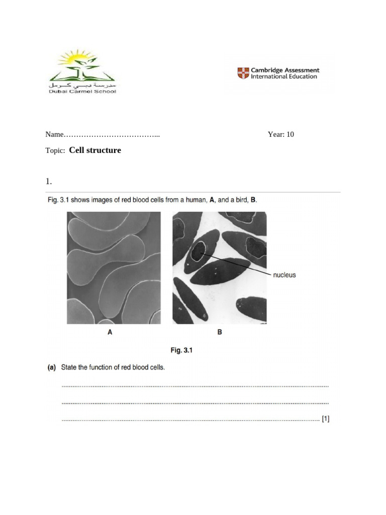 Year 10 Cell Structure | PDF