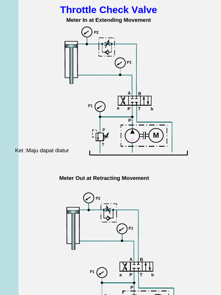 Throttle Check Valve | PDF