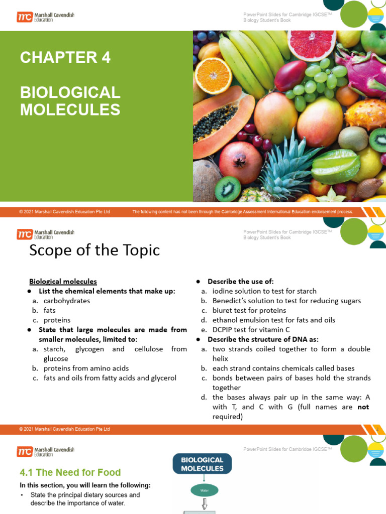 Mce Igcse Biology PPT c04 | PDF | Carbohydrates | Glucose