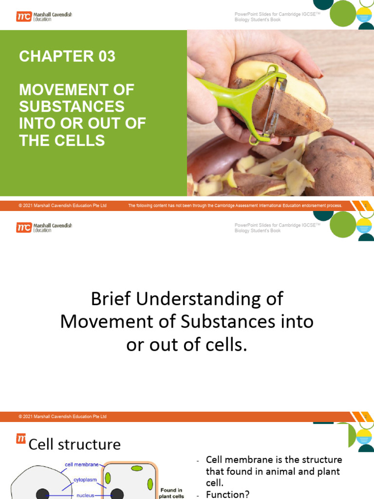 MCE IGCSE Biology PPT C03 | PDF | Osmosis | Diffusion