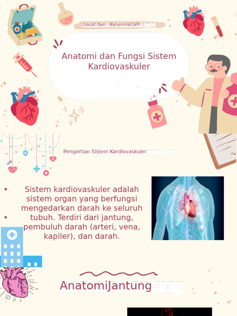 Anatomi Kardiovaskuler Muhammad Jefri | PDF