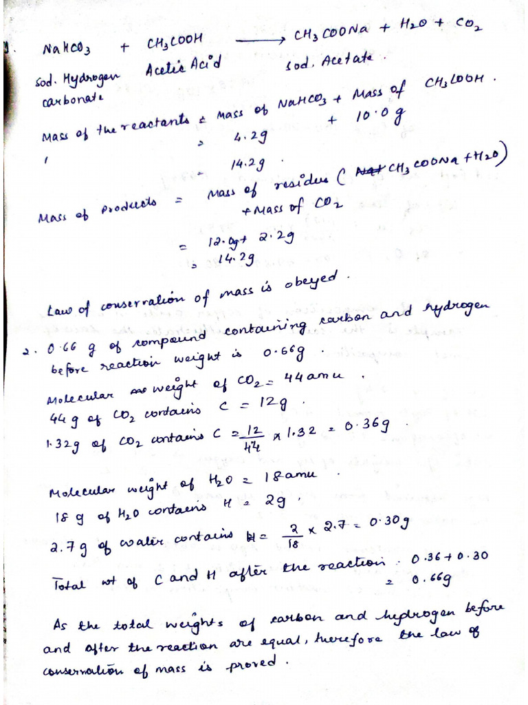 Class 11 Basic Concept W 2 Answer | PDF