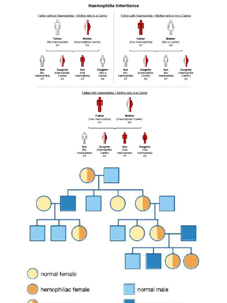 Hae 1 | PDF