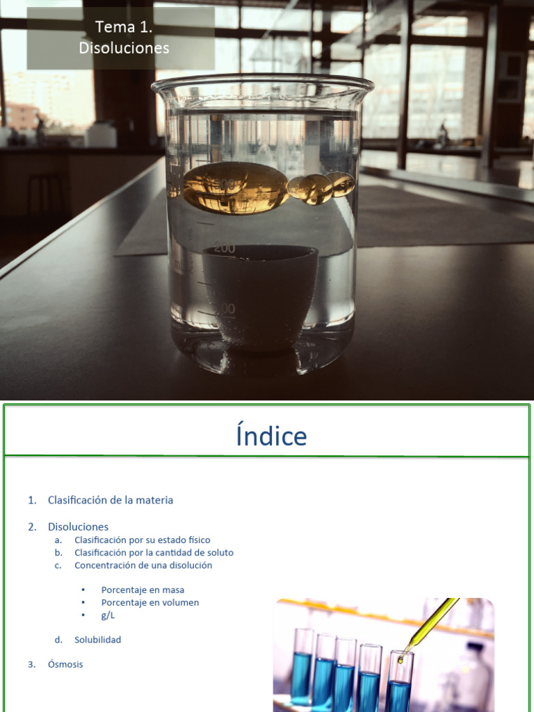 Tema1 Disoluciones | PDF | Solubilidad | Concentración