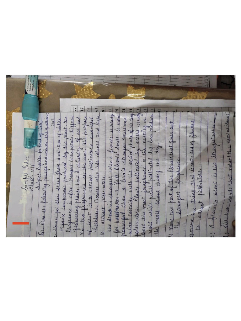 PDFGallery 20250531 105306 | PDF