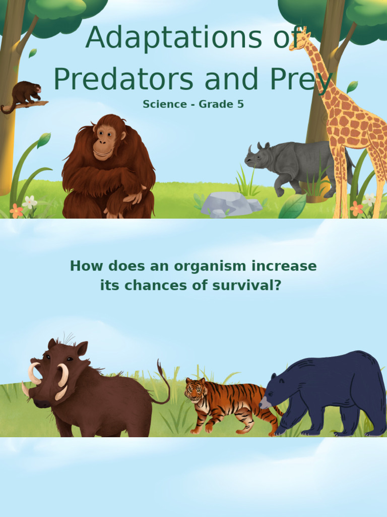 Science Week 3-5 - Adaptations of Predators and Prey-2 | PDF ...