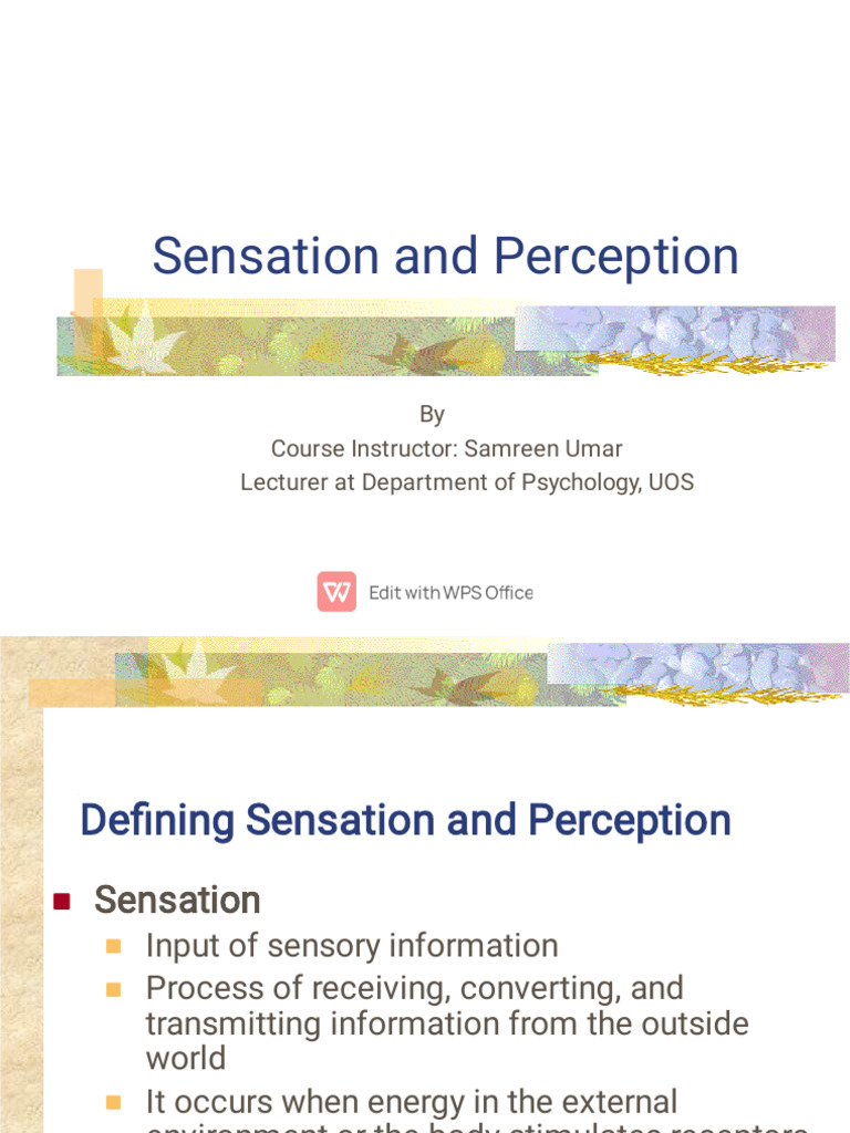 Sensation and Perception | PDF | Senses | Perception