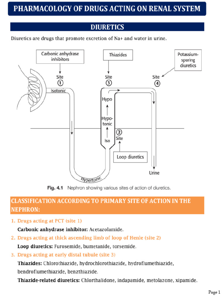 4 Diuretics | PDF