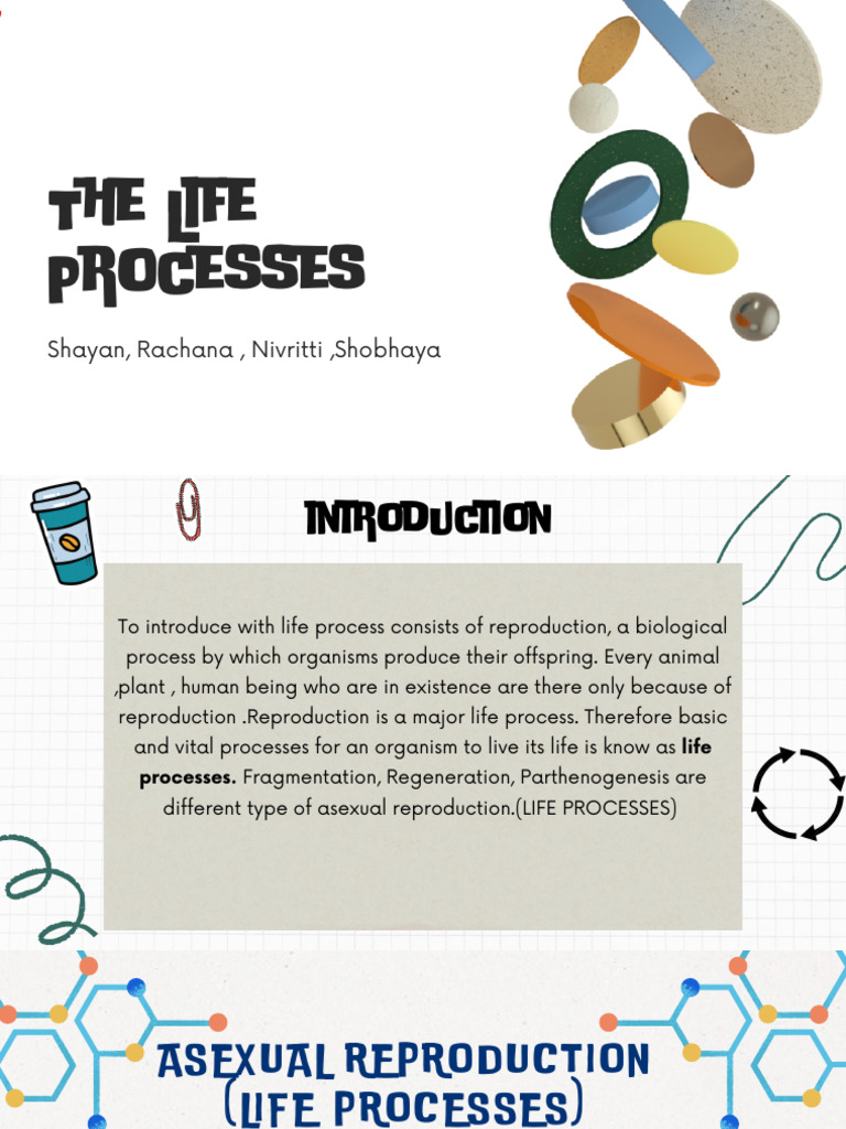 The Life Processes | PDF | Reproduction | Biological Processes