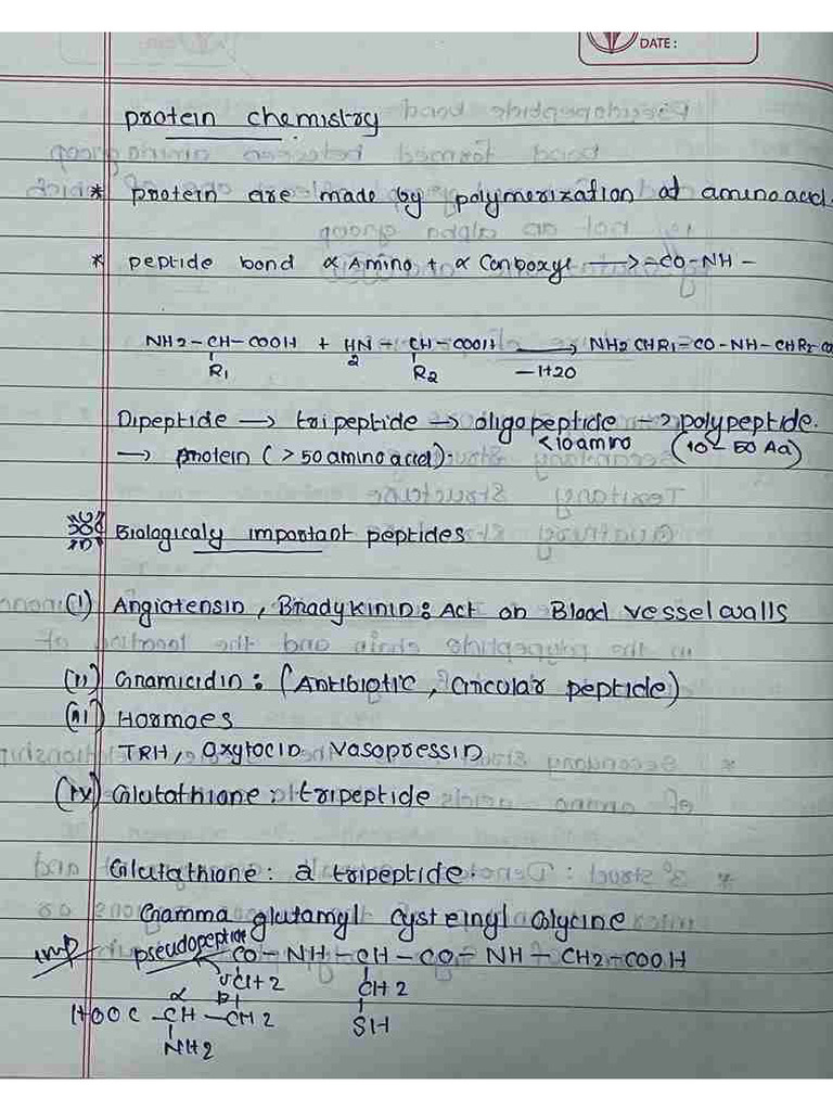Protein Chemistry 1 PDF | PDF