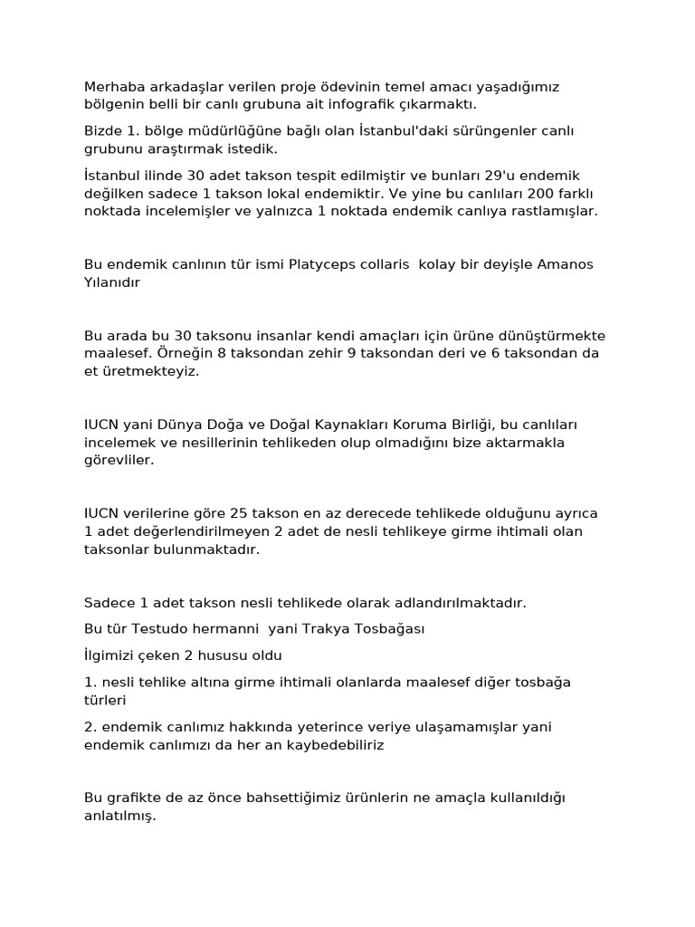 Nuhun Gemisi Projesi | PDF