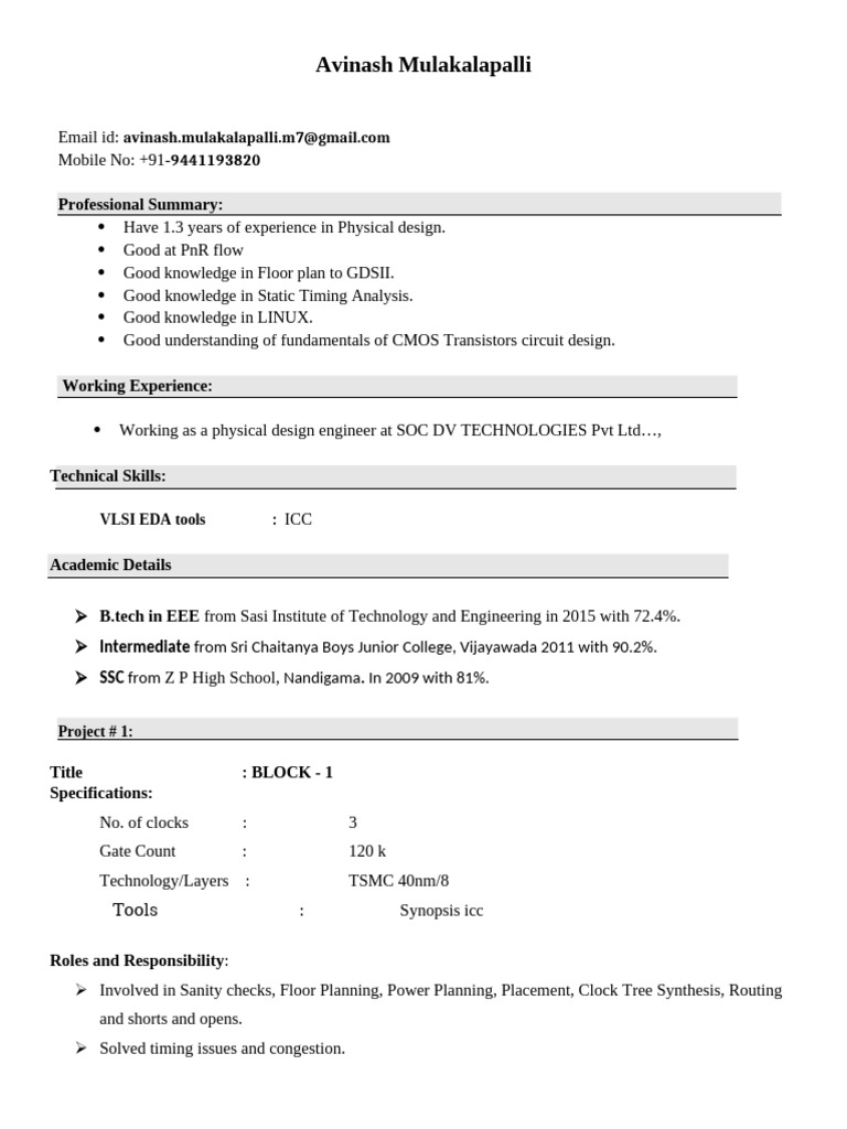 Avinash Resume Experience 1+ | PDF