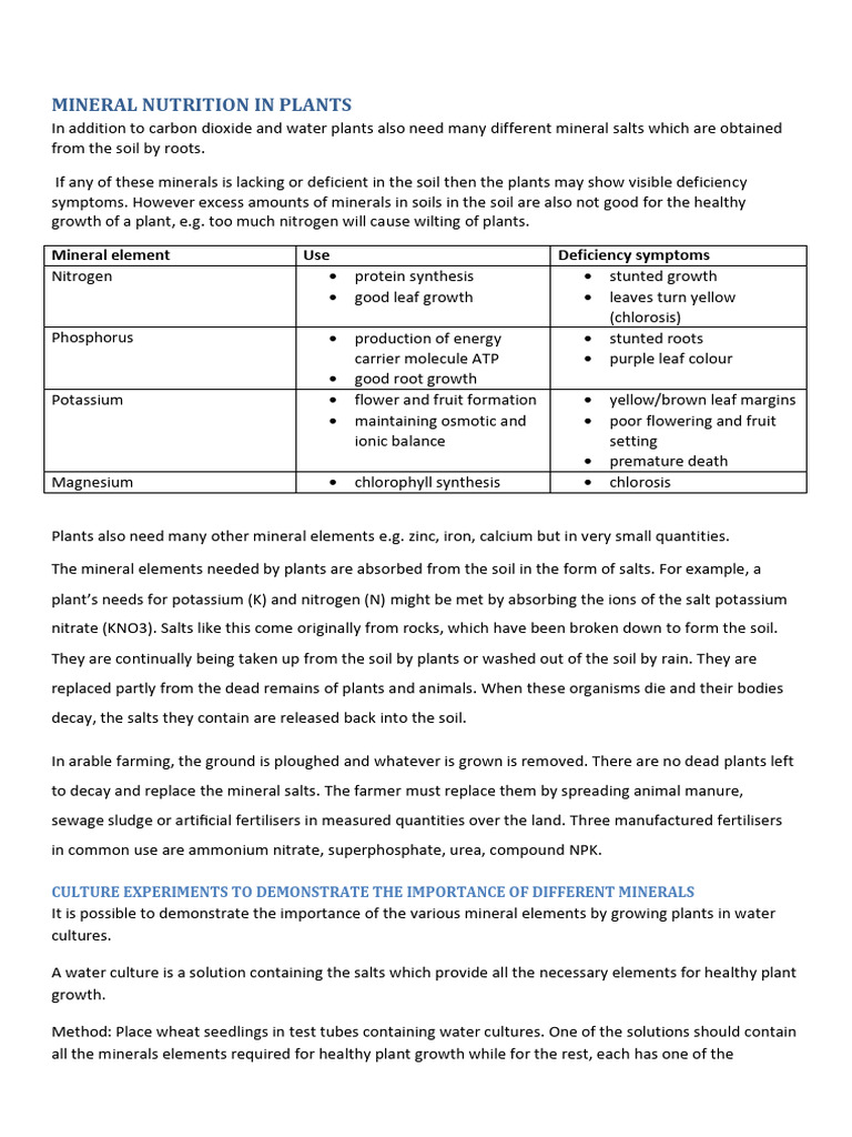 Mineral Nutrition in Plants | PDF | Soil | Botany
