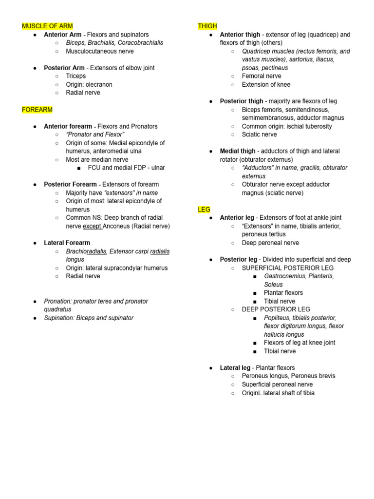 MSK Muscles Generalities | PDF | Human Leg | Foot