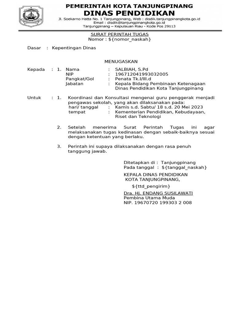 SPT Pendampingan Kadis - Salbiah Elysa - 18 Sampai 20 Mei 2023 | PDF