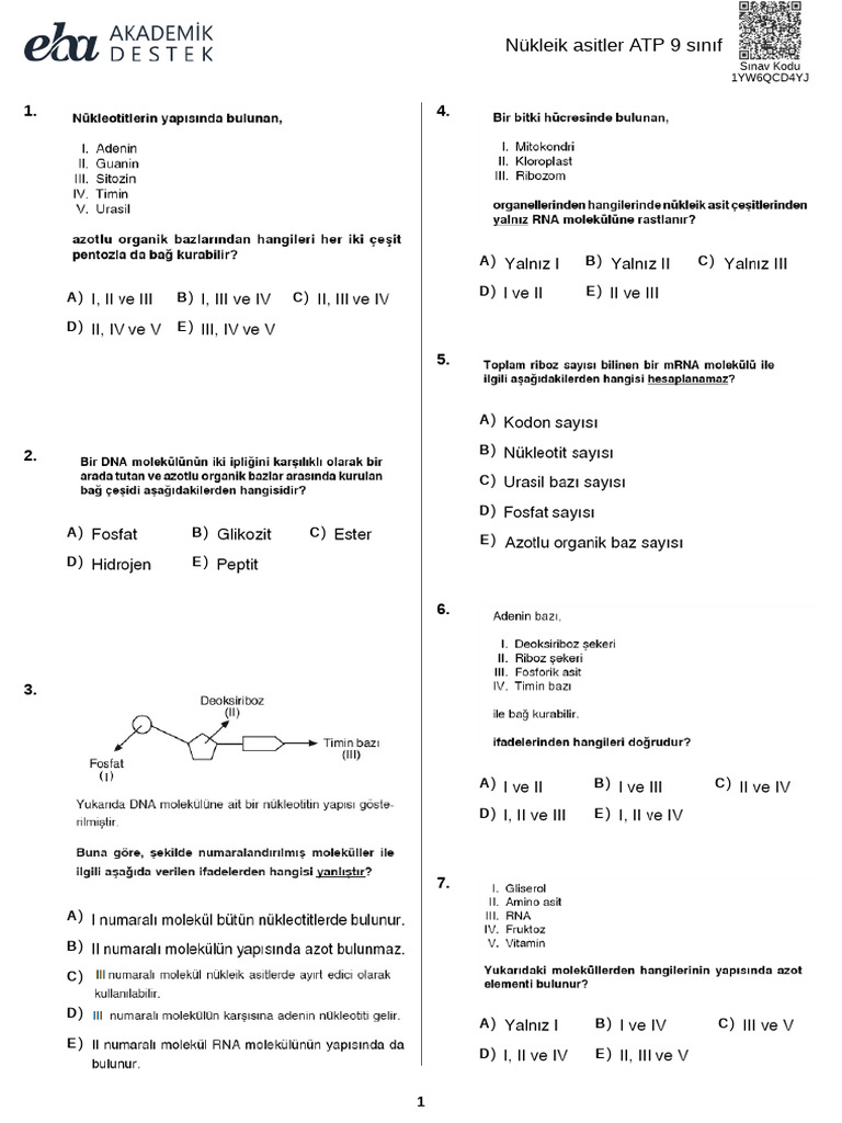 Nükleik Asitler Atp 9 Sınıf SORU | PDF