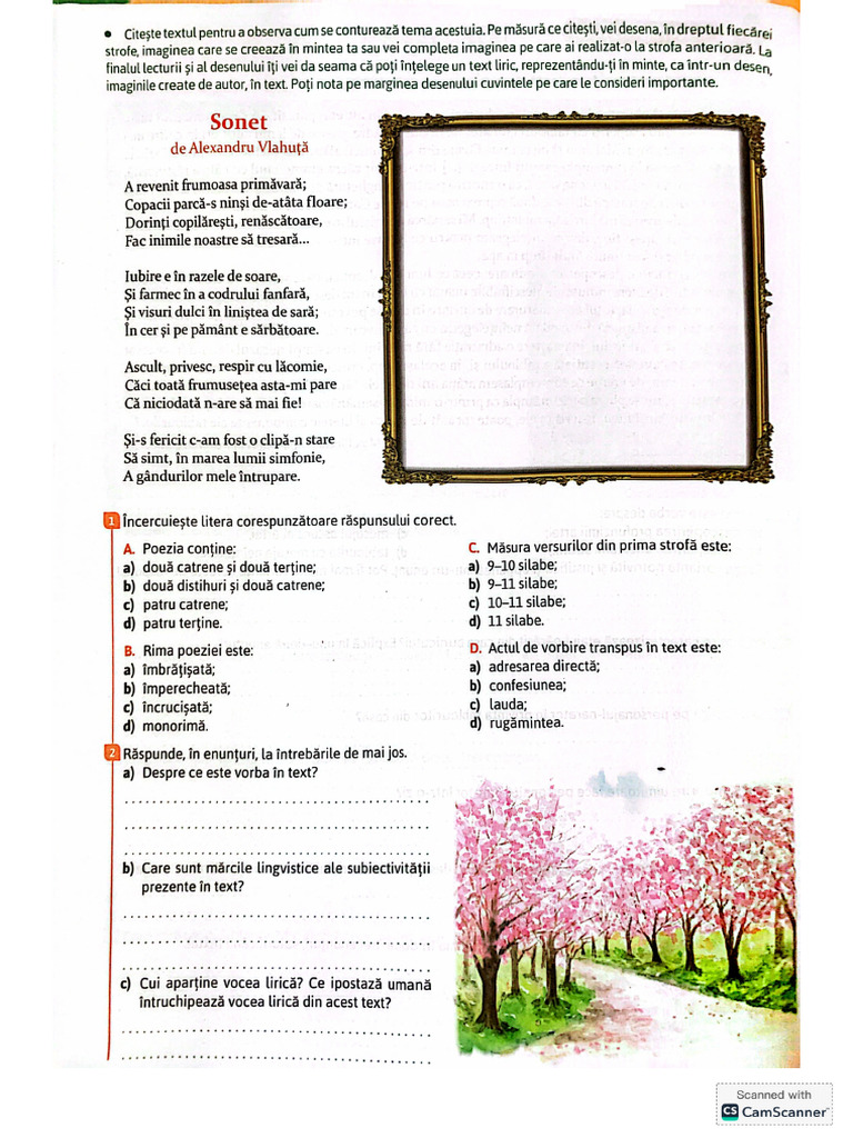 Text Liric 7 - Sonet de Vlahuță - Fisa de Lucru | PDF