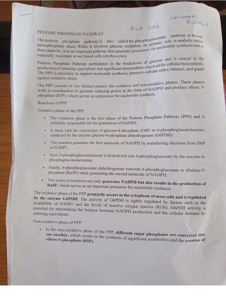 HMP - Uronic Path | PDF