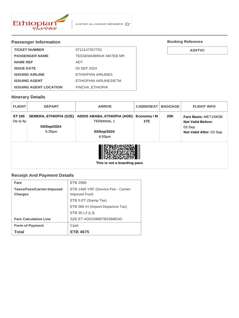Electronic Ticket Receipt, September 03 For MR BIRUK MATEB TESSEMA ...