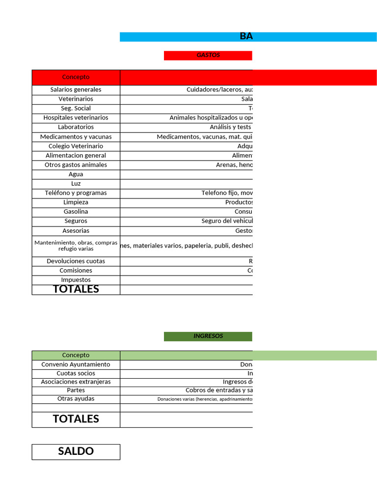 Balance Financiero 2024 y Proyección 2025 | PDF