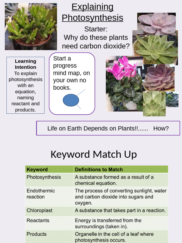 New Lesson 1 Explaining Photosynthesis TES | PDF | Photosynthesis | Glucose