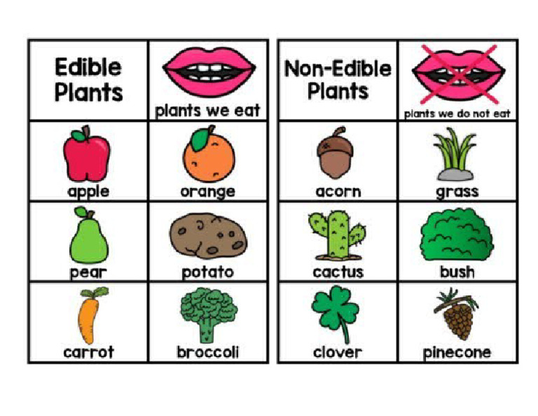 Edible and Non | PDF