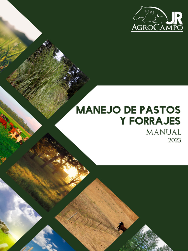 Manejo Eficiente de Pastos y Forrajes | PDF | Pasto | Pasto