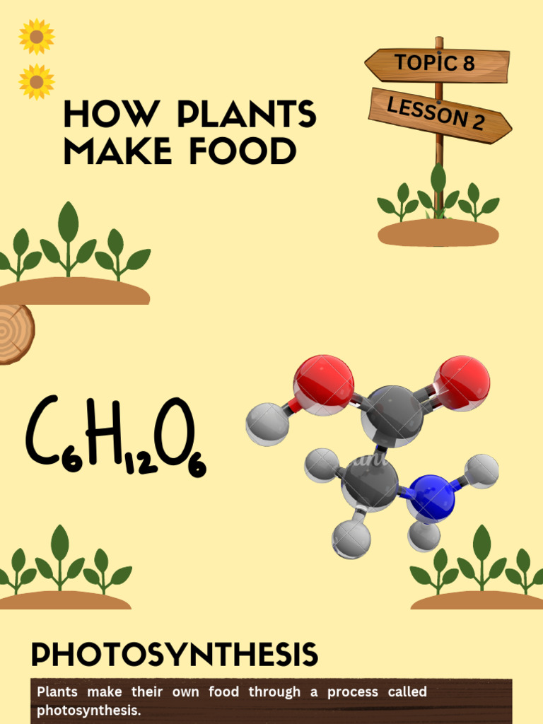 How Plants Make Food 9224655202521031 | PDF | Photosynthesis | Plant ...
