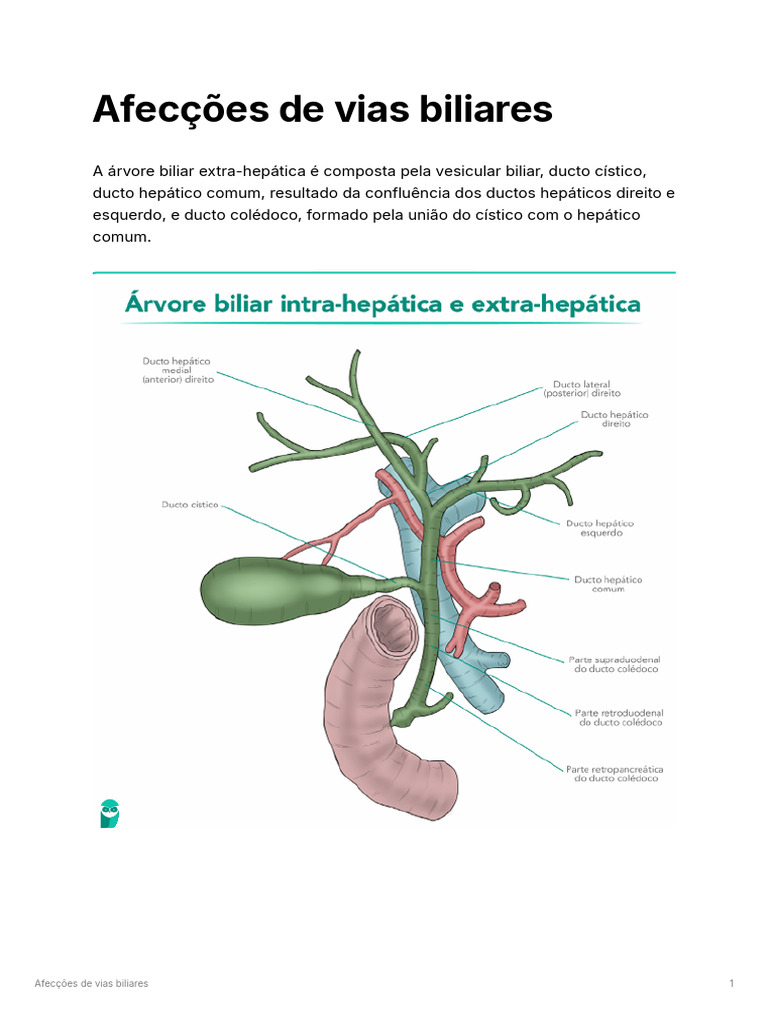Afecções da Árvore Biliar | PDF | Bile | Fígado