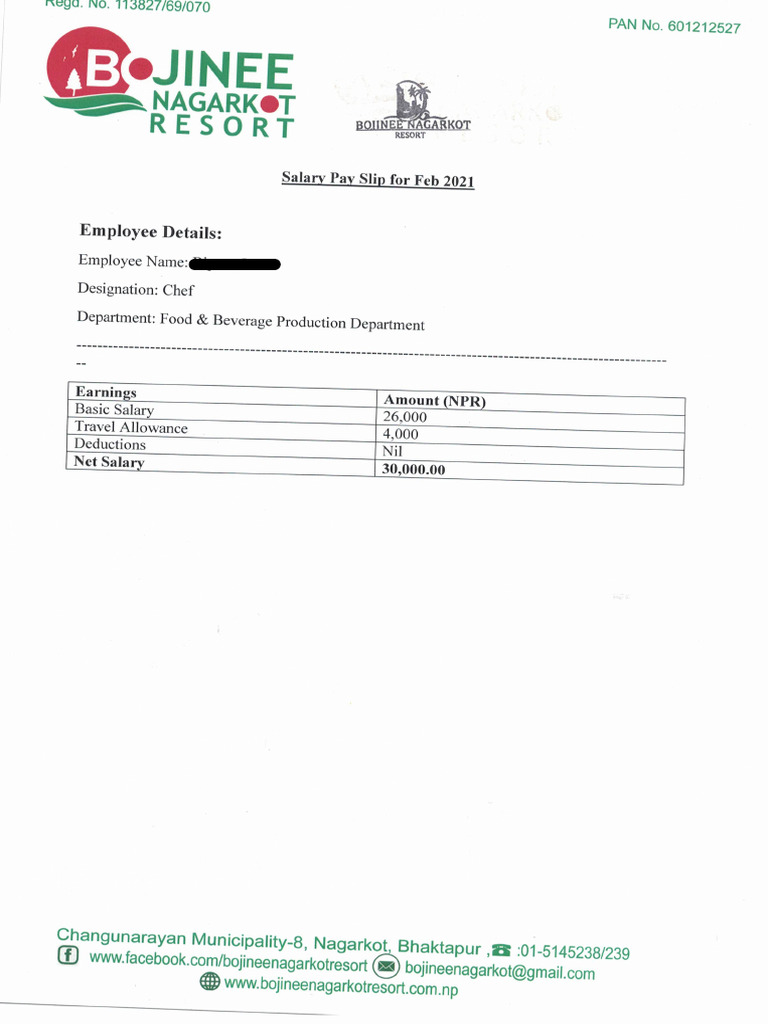 Sample - Salary Pay Slips | PDF