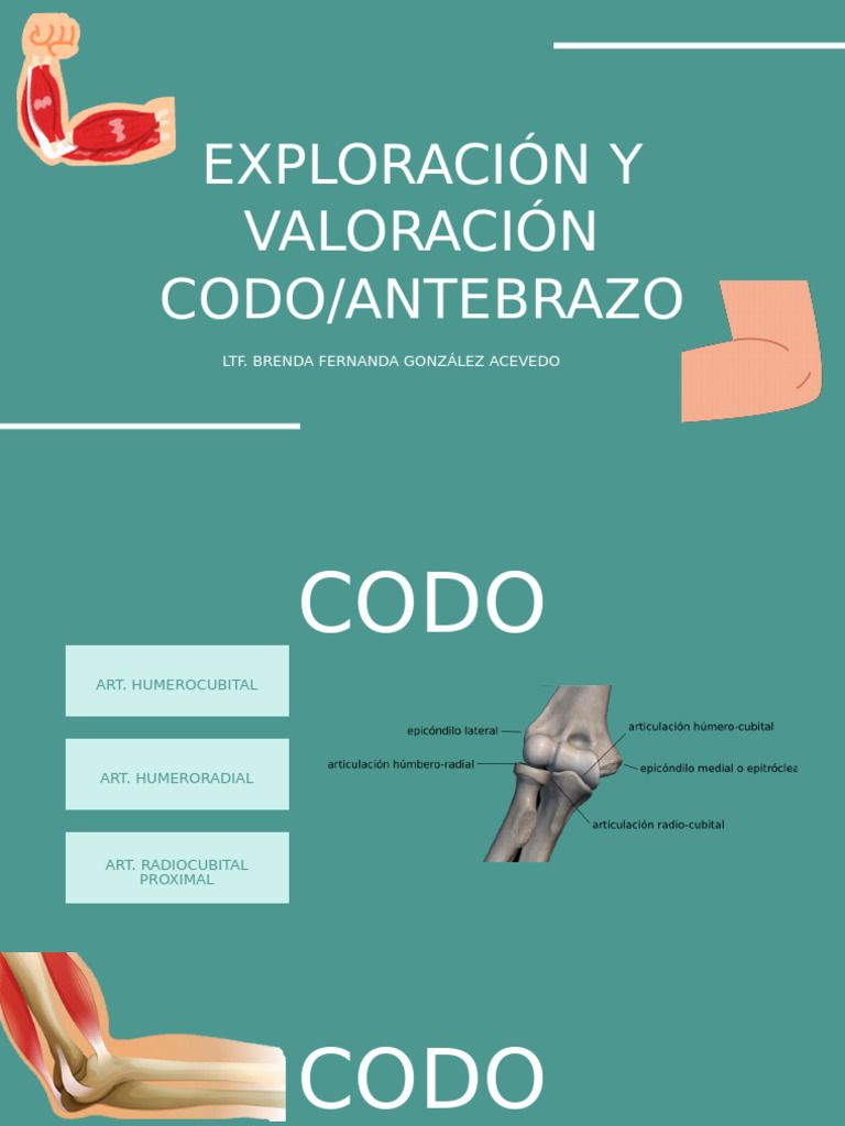 EXPLORACIÓN Y VALORACIÓN CODO | PDF | Codo | Sistema musculoesquelético
