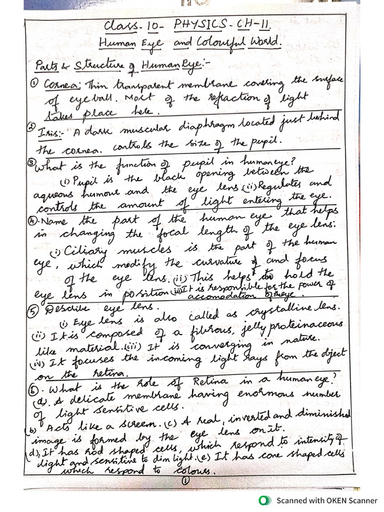 Human Eye Handwritten Notes | PDF