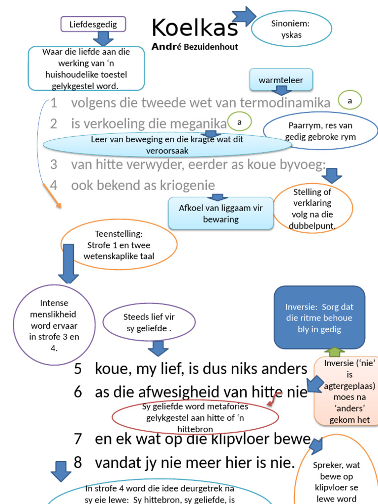 Skyfies Koelkas | PDF