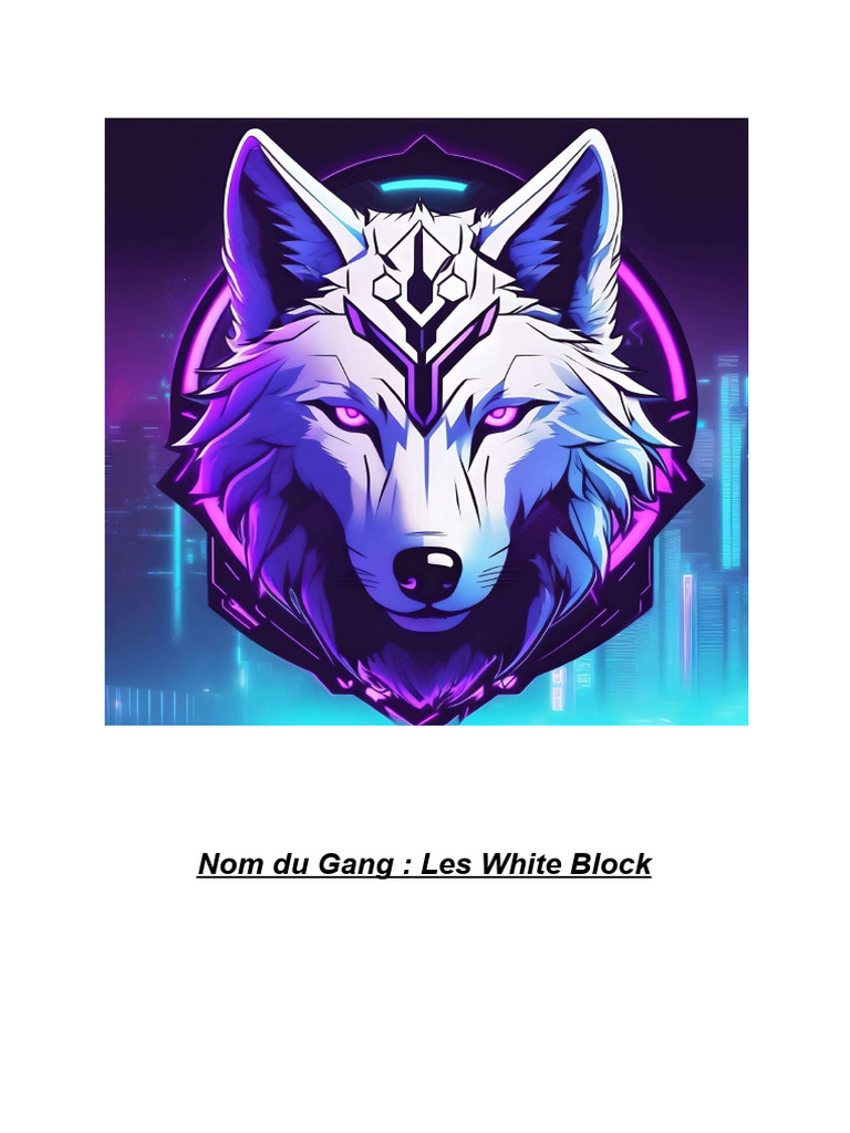 Les White Block : Gang de Miami et Riley Wolf | PDF