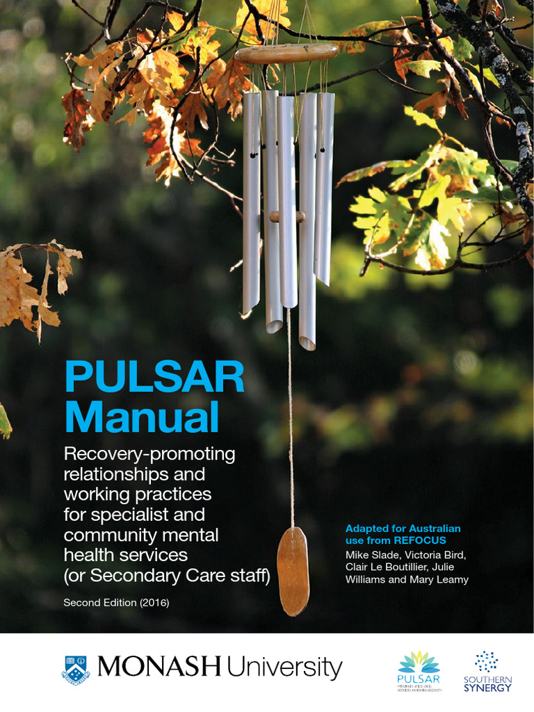 PULSAR Manual for Mental Health Recovery | PDF | Mental Health | Social ...
