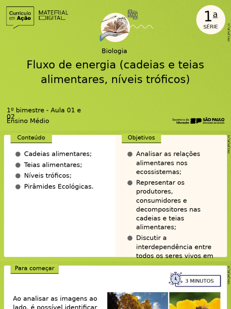 Aula 1 e 2 - Fluxo de Energia (Cadeias e Teias Alimentares, Níveis ...