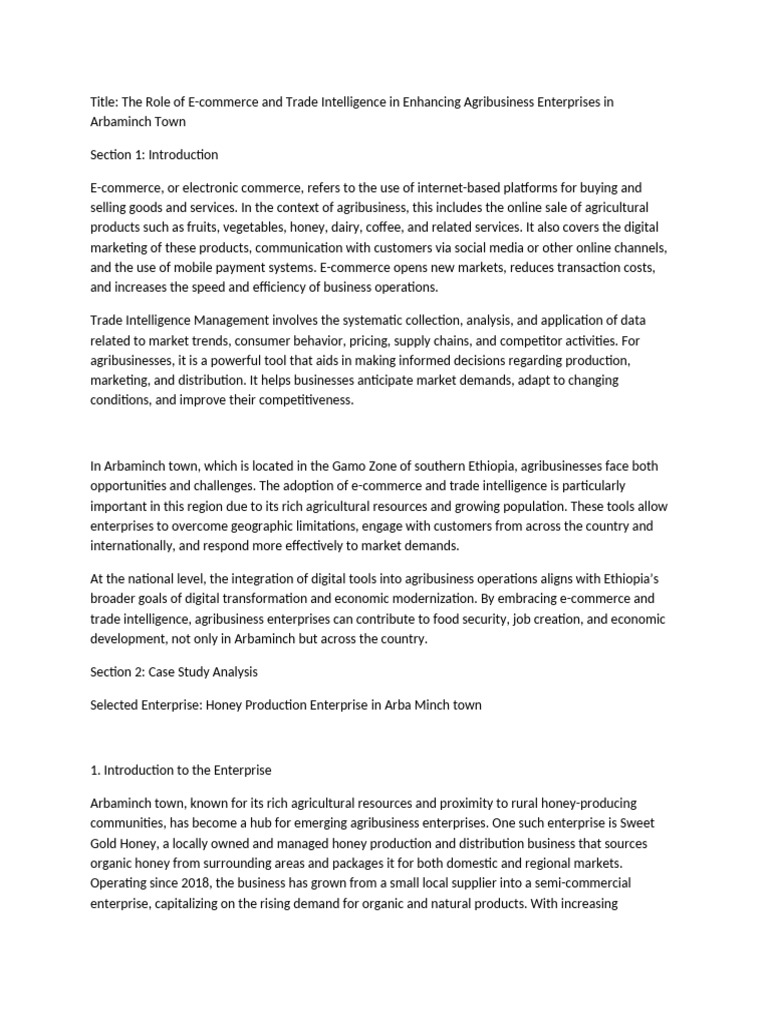 Ecommerce Group Assignment Final | PDF | E Commerce | Digital Marketing