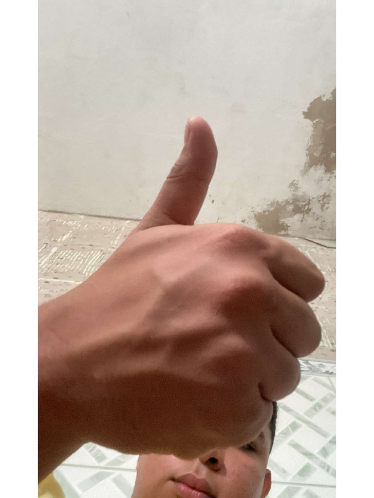 BB08D466-4403-48AB-B13B-230DA35FBF29 | PDF