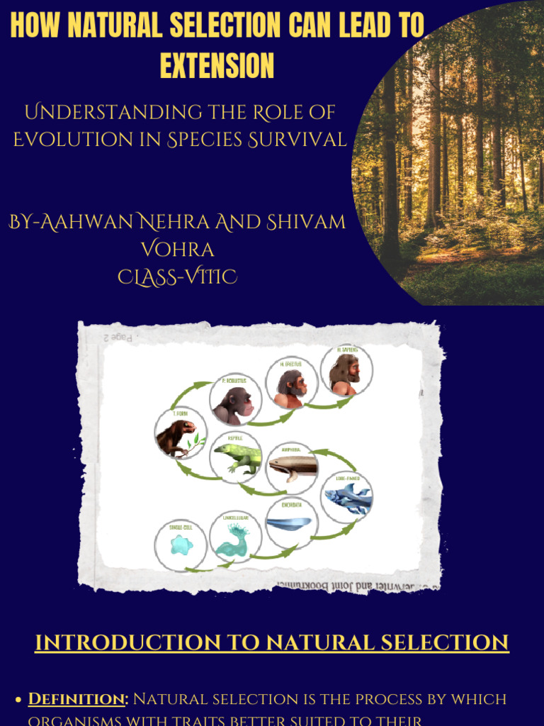 How Natural Selection Can Lead To Extension | PDF | Genetic Diversity ...