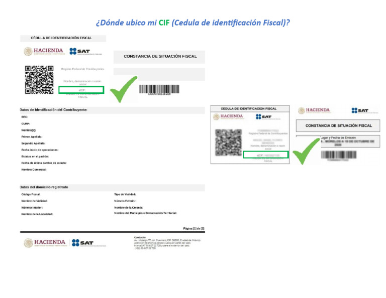 ¿Dónde Ubico Mi (Cedula de Identificación Fiscal) ? | PDF
