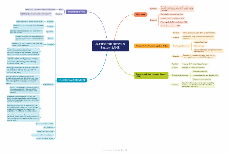 Mind Map Autonomic Nervous System (ANS) | PDF