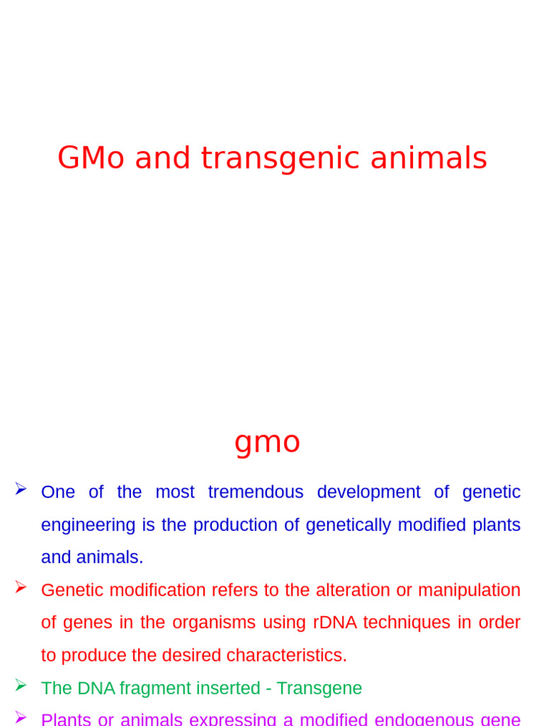 GMo and Transgenic Animals Overview | PDF | Genetically Modified ...
