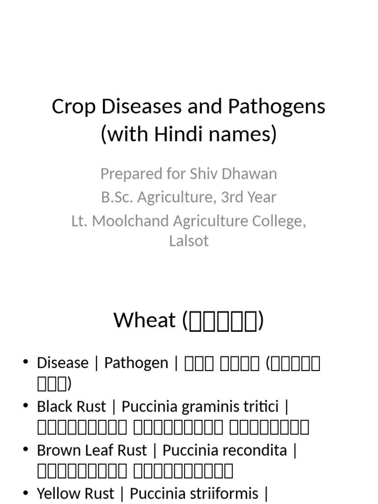Crop Diseases and Pathogens Shiv Dhawan | PDF