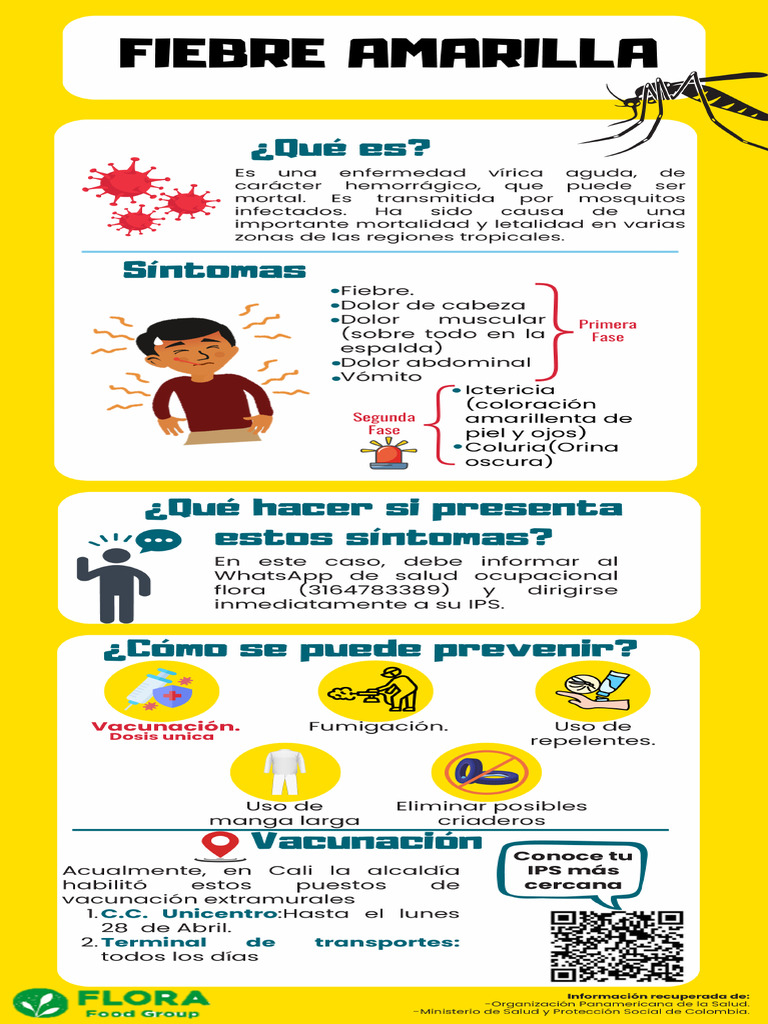 Fiebre Amarilla | PDF