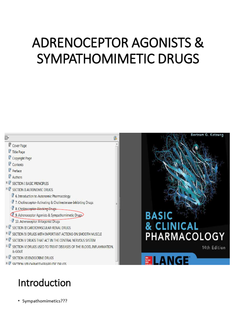 8,9 - Adrenoceptor Agonists & Sympathomimetic Drugs | PDF | Norepinephrine