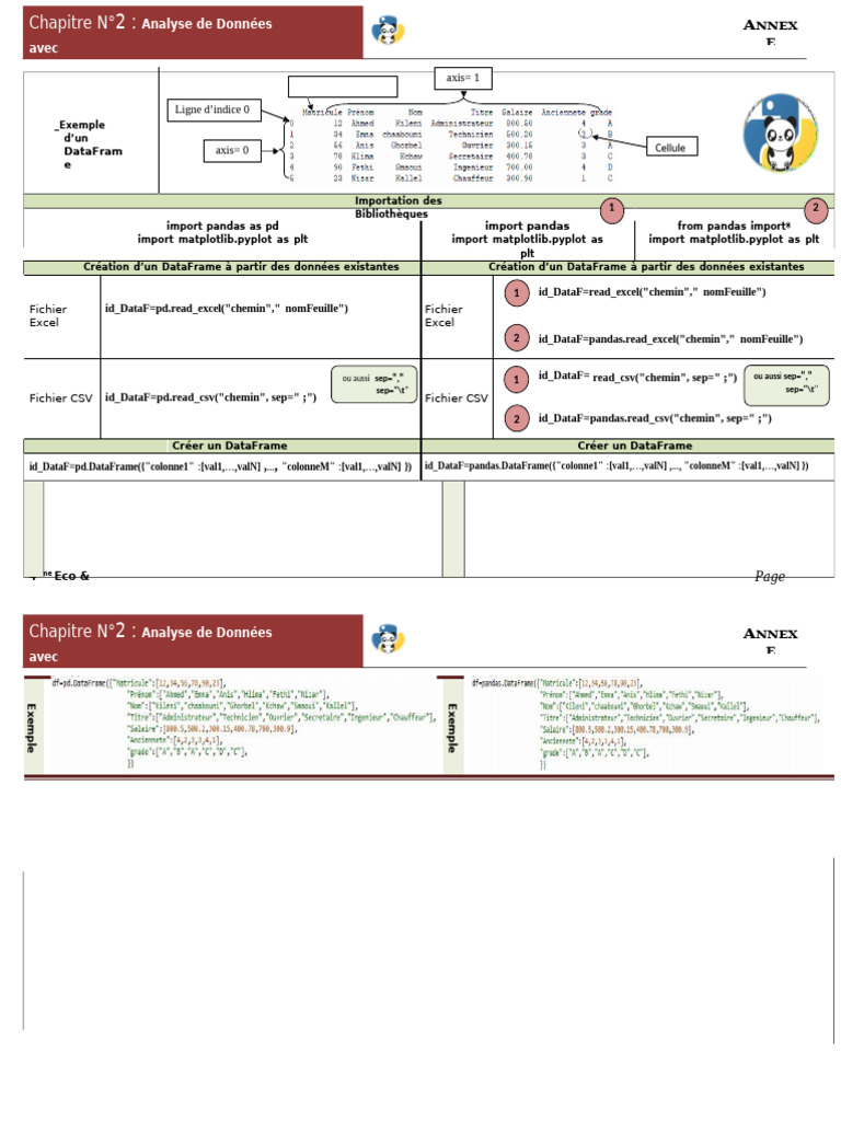 Analyse et Manipulation de DataFrames | PDF | Informatique | Informatique