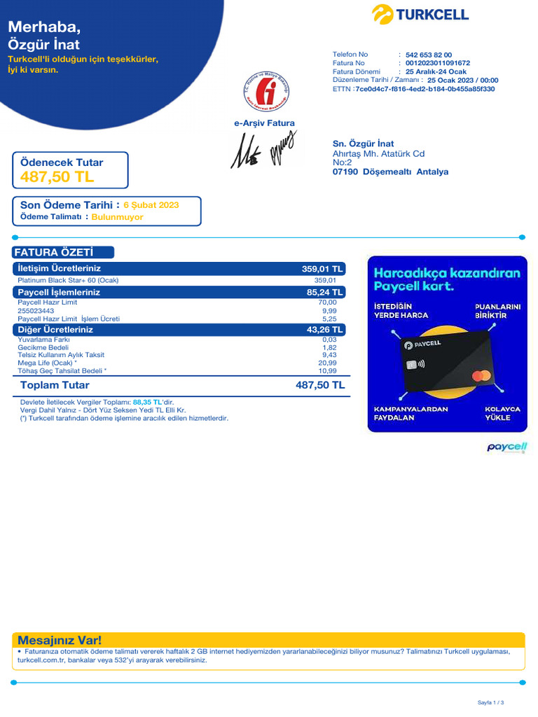 Fatura Sorgulama Thy | PDF