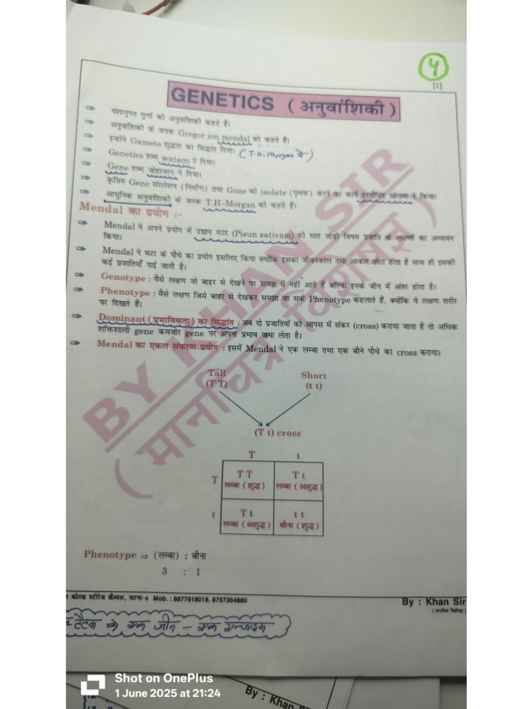 Biology Genetics | PDF